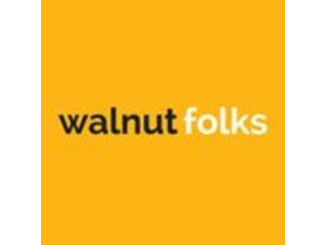 Social Media Marketing Agency In Mumbai - Walnut Folks Mumbai - Buy ...